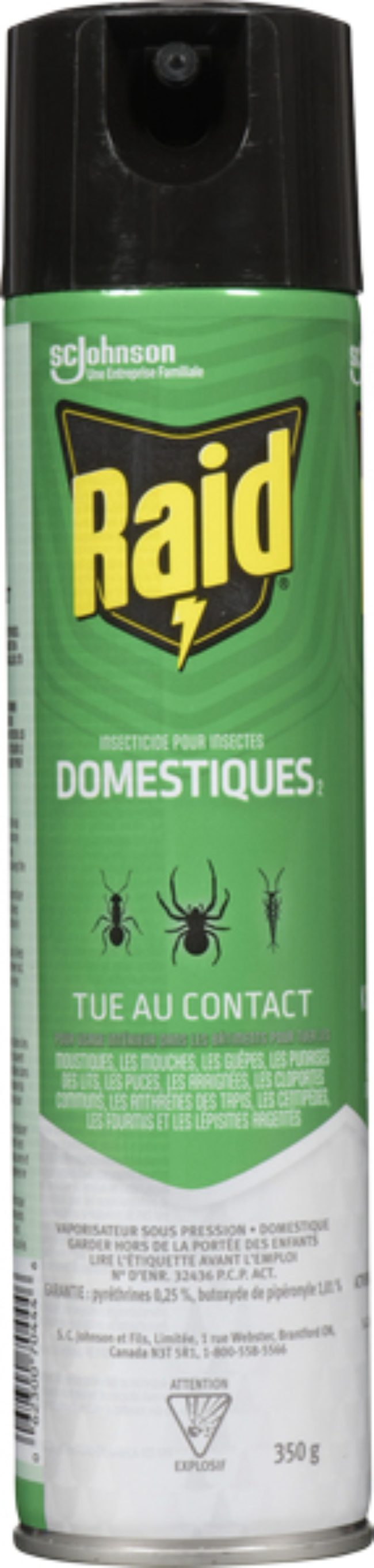 RAID HOME INSECT KILLER