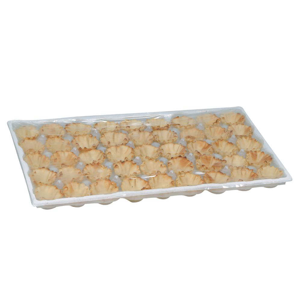 PHYLLO MINI SHELL